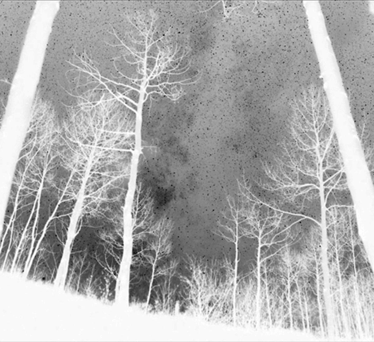 Axis Records | 25th Anniversary